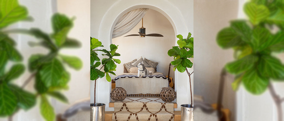 4 Dog Shade Ideas to Keep Your Pup Cool & Comfortable