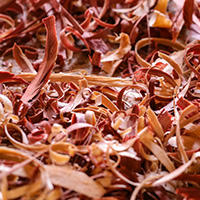 How to Start a Fire in a Firepit | PatioHeatandShade